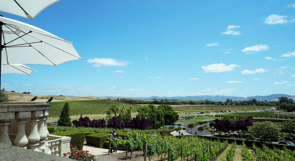 Sip On The Finest Sparkling Wine And Pinot Noirs At Domaine Carneros In ...