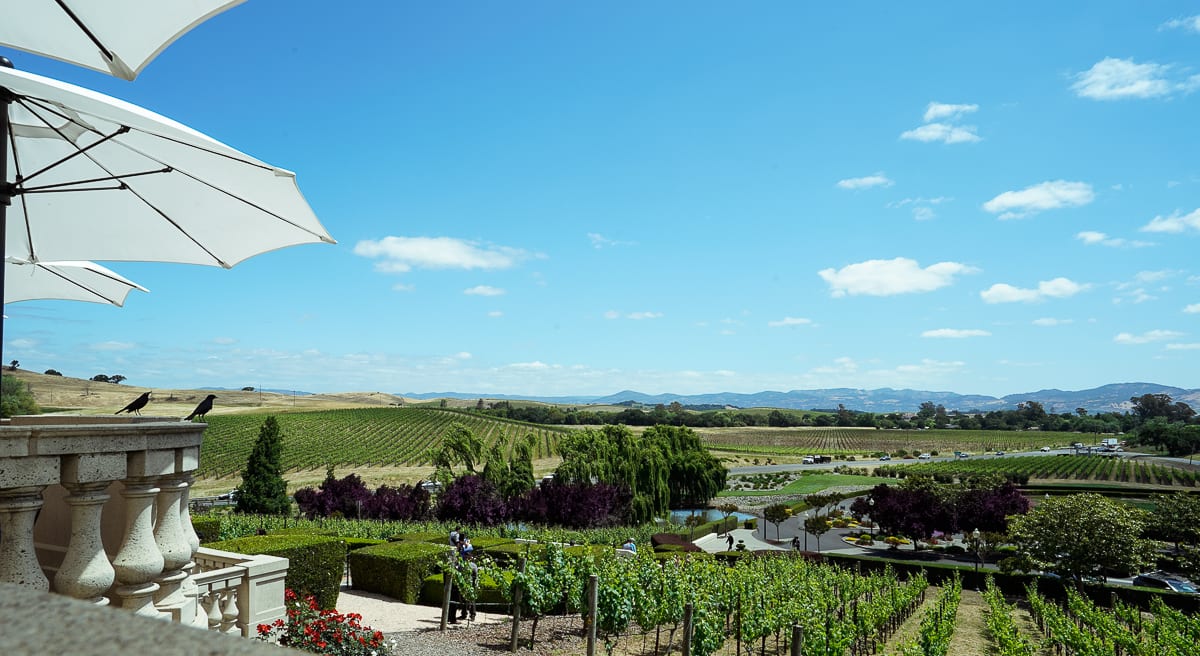 Sip On The Finest Sparkling Wine And Pinot Noirs At Domaine Carneros In ...