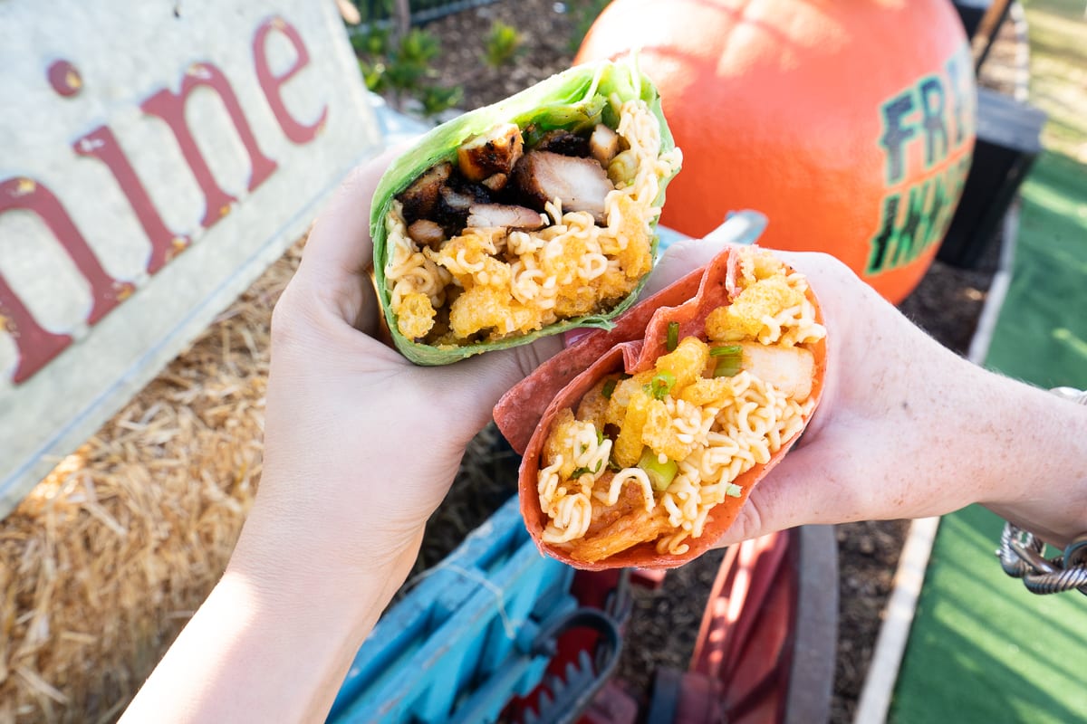 We've Got Your Crazy Fair Food From This Years 2018 OC Fair