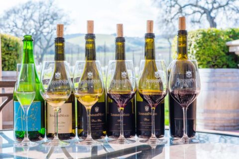 The Absolute BEST Paso Robles Wineries To Visit In 2024