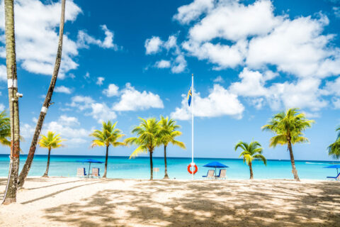 The 15 Very BEST Things To Do In Barbados For 2024