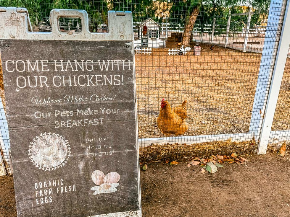 This Amazing Temecula Bed And Breakfast Even Has Chickens For Your ...