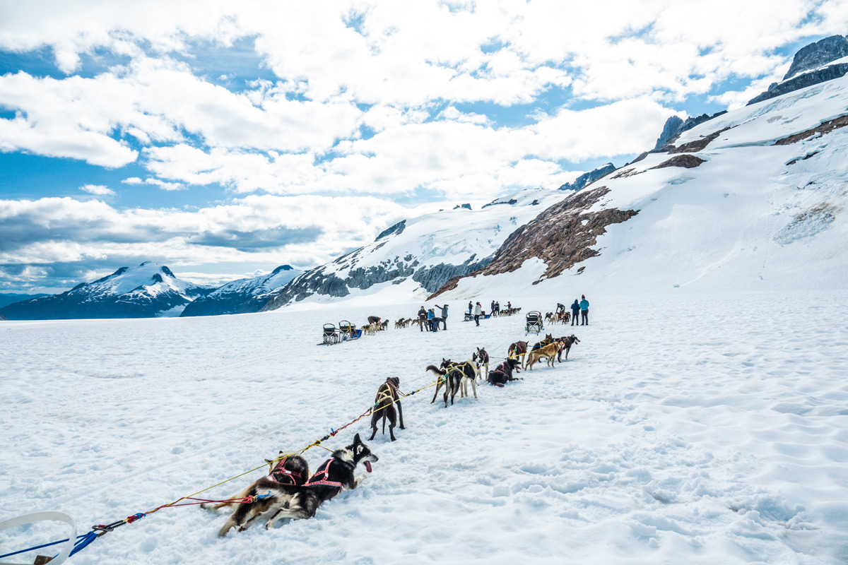 The Ultimate Bucket List Juneau Excursion Dog Sledding & Helicopter To ...