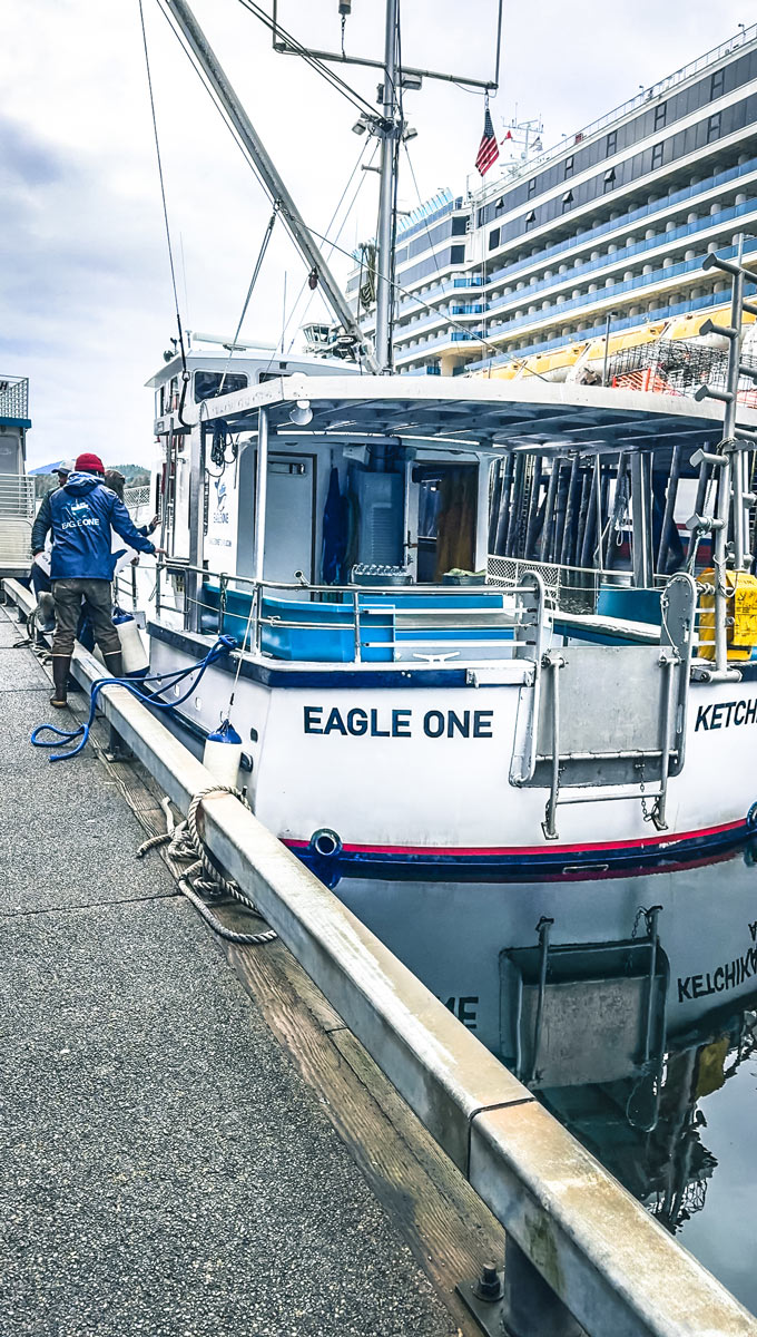Most Amazing Whale Watching Excursion In Ketchikan, Alaska