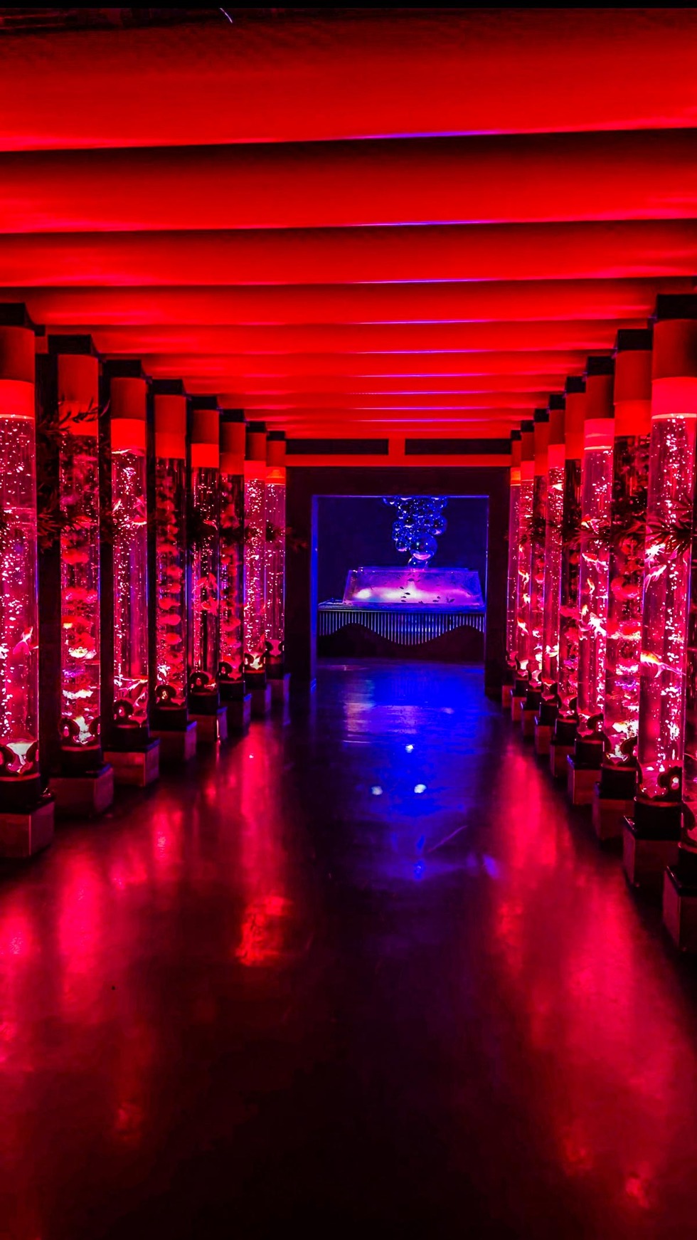 The Ultimate Ginza & Roppongi Guide (2026): A Perfect Day-to-Night ...